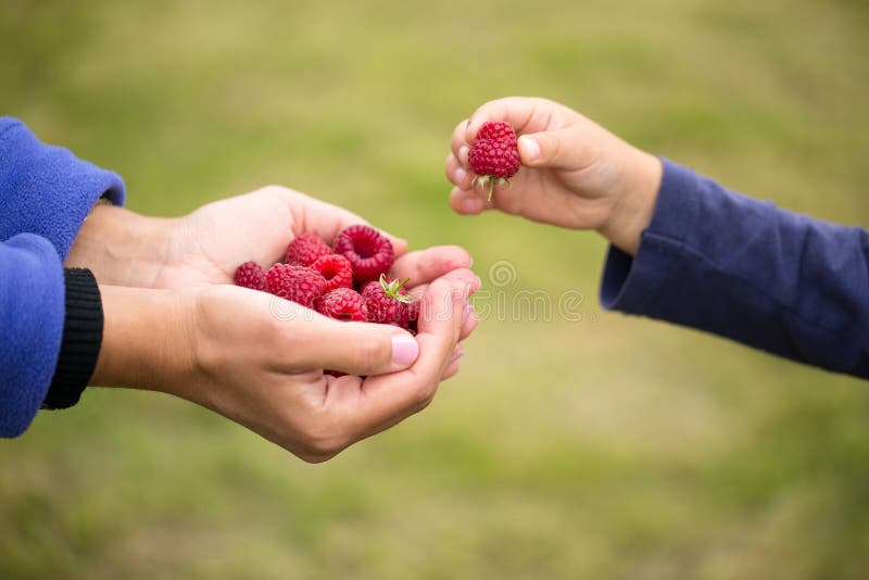 Baby Giving Raspberry Stock Photos - Free & Royalty-Free Stock Photos ...