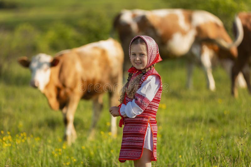 Child tending cows stock photo. Image of grazing, family - 241698448