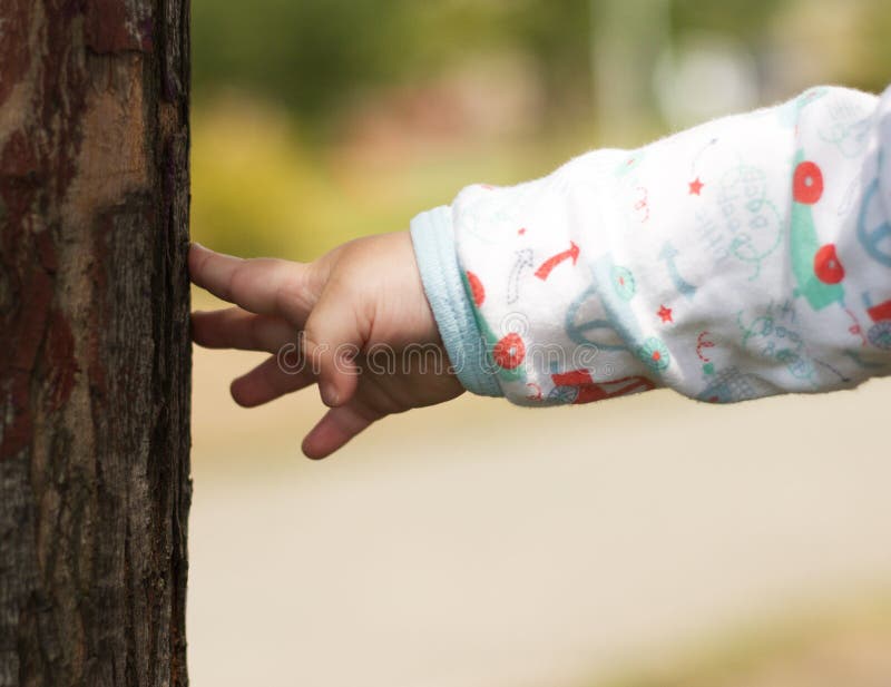 Child touching the tree stock image. Image of touching - 67672817