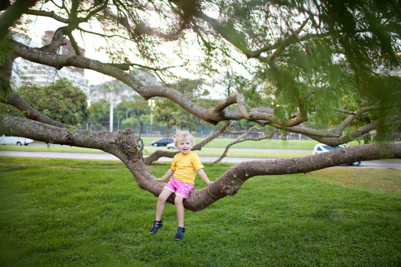 Child on the tree stock image. Image of grass, brunch - 12623675