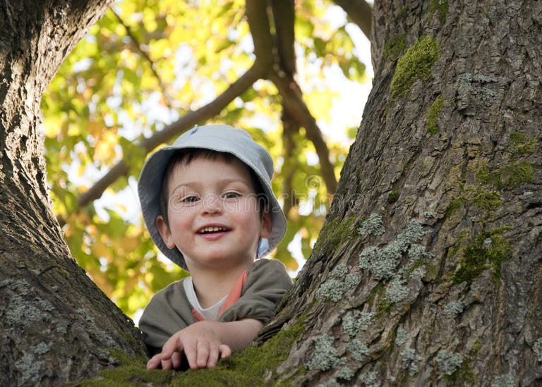 5,255 Human Emotion Tree Stock Photos - Free & Royalty-Free Stock ...