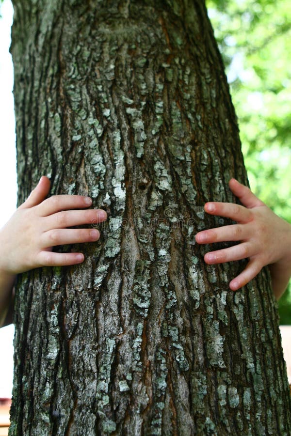 Hands clasping the tree stock photo. Image of ecology, retain - 188172