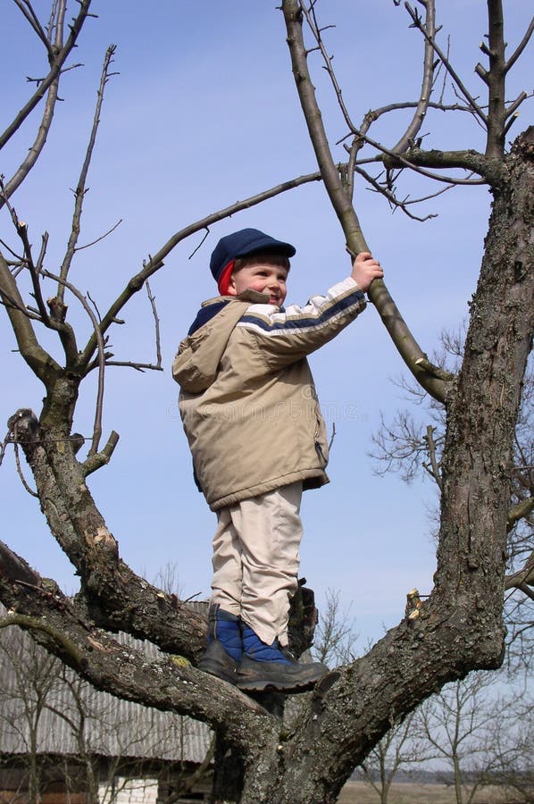 Child holding tree stock photo. Image of outdoors, dress - 4466864