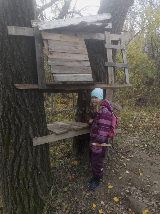 Child and Treehouse with Stairs on Tree Stock Photo - Image of treeshed ...