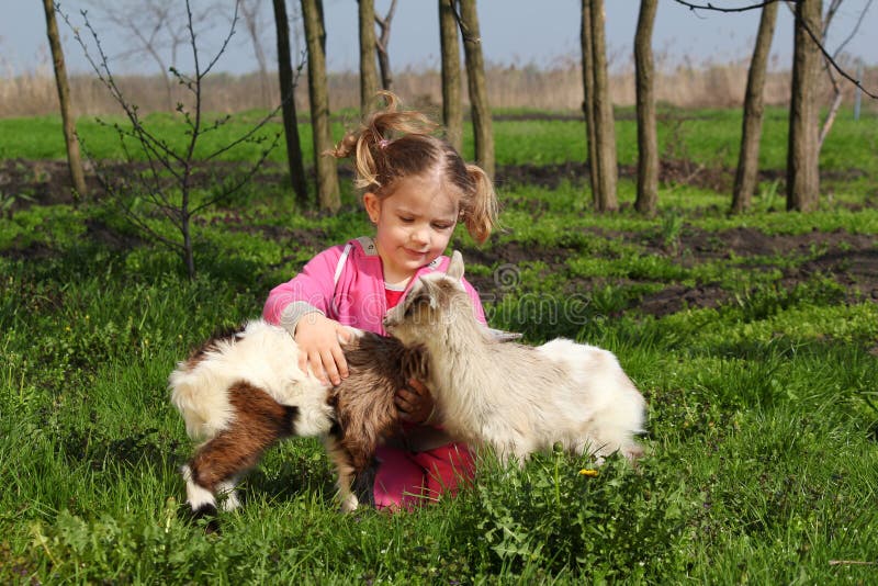 Child with Two Little Goats Stock Photo - Image of white, young: 19475228
