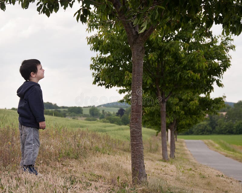 Child Under Tree in Countryside Stock Photo - Image of hilly, caucasian ...