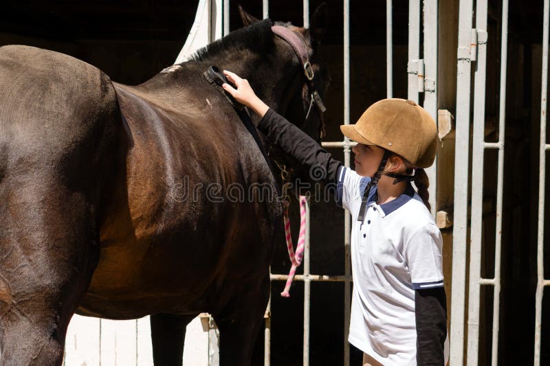 Child Using Brush on Horse S Side at Stable Stock Image - Image of ...