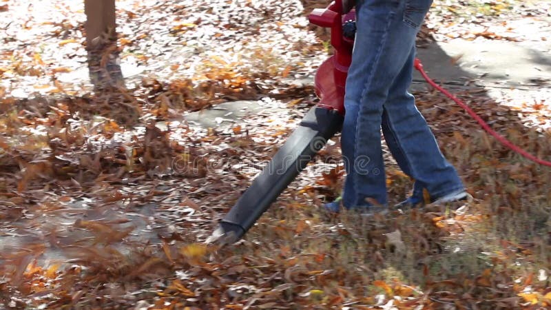 Child Using Electric Leaf Blower in the Fall Stock Video - Video of ...