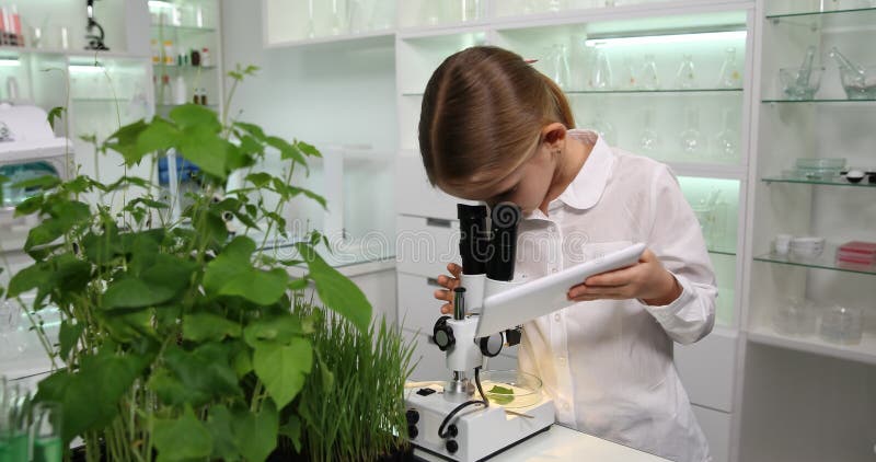 Kid Using Microscope in School Chemistry Lab, Student Child Studying in ...