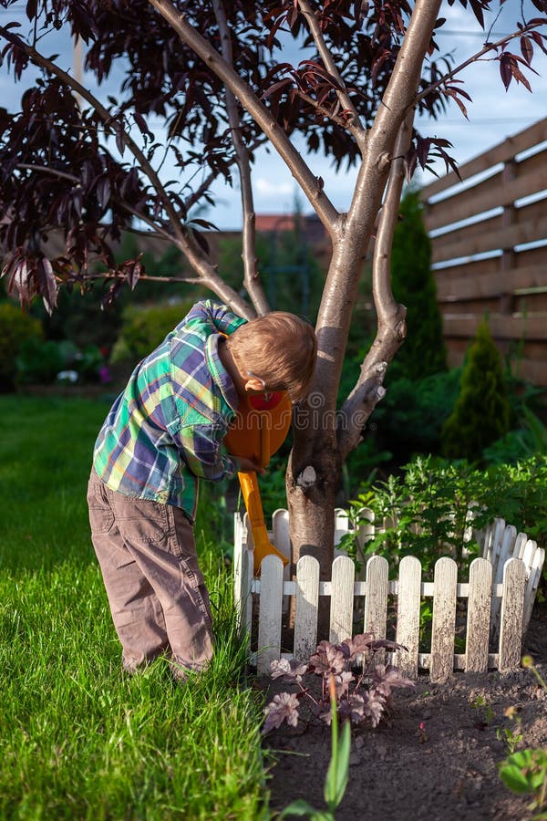 Child Watering Can Watering a Tree in the Backyard Stock Photo - Image ...