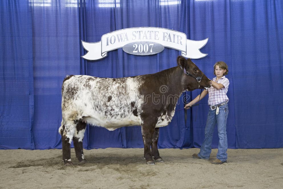Child Winner of Cow Competition Editorial Photo - Image of fair ...