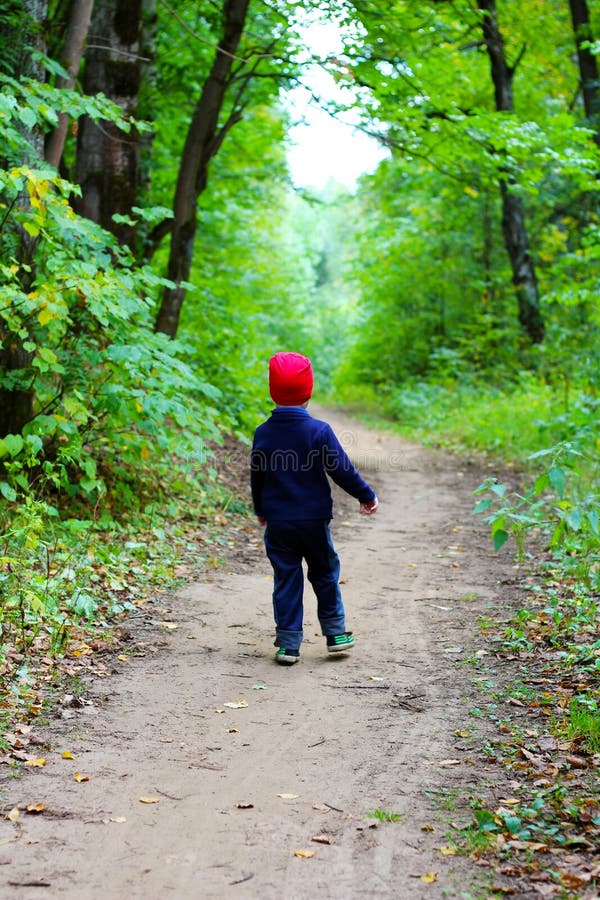 Child in the woods stock image. Image of path, adventure - 76828623