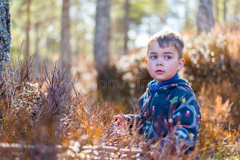 Child in Woods stock image. Image of child, person, concept - 46351703
