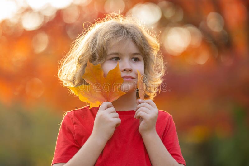 Child 10 Years Old Playing with Fallen Leaves in Autumn Park. Stock ...