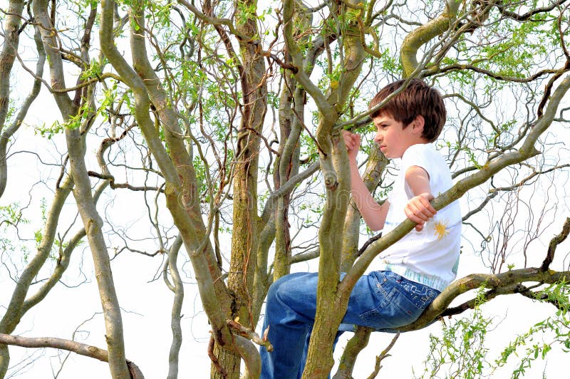 Boy sitting on the tree stock image. Image of little - 41191459