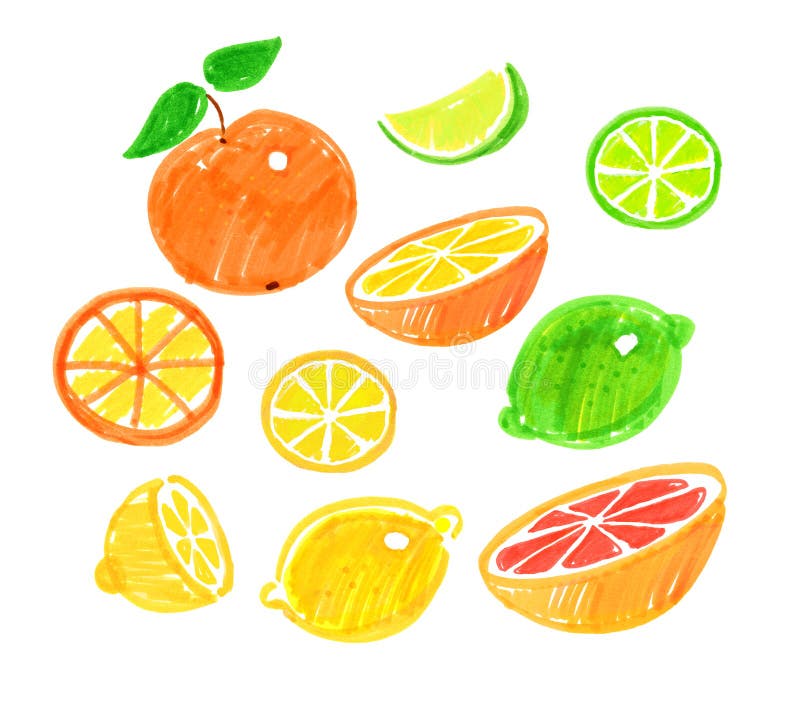 Childlike Drawing of Citrus Fruit. Stock Illustration - Illustration of ...