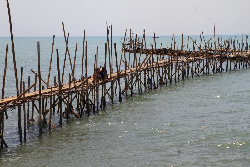 Children and the Bamboo Platform Editorial Stock Photo - Image of ...