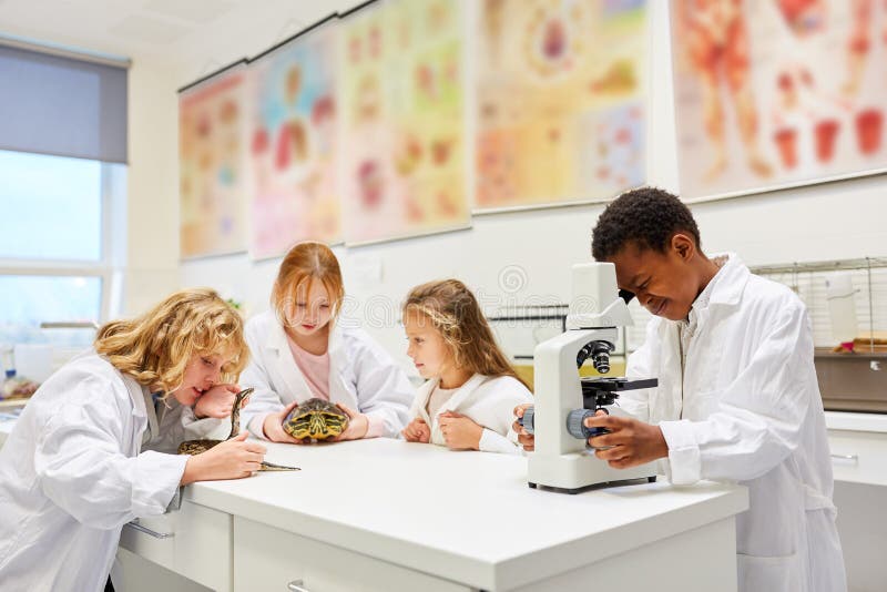 Children of Biology Class in the Laboratory Stock Photo - Image of ...