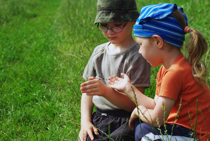 Children with bug stock photo. Image of beetle, meadow - 12497108