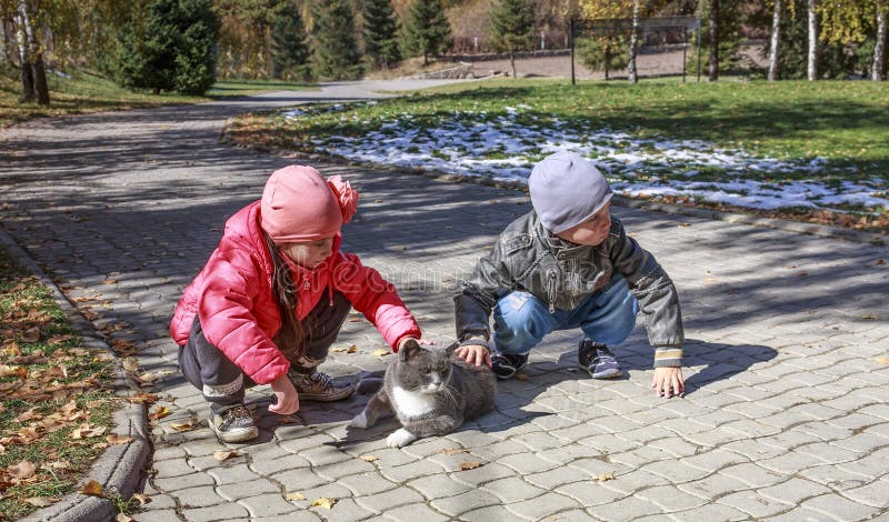 Children and a cat. stock photo. Image of play, autumn - 101428700