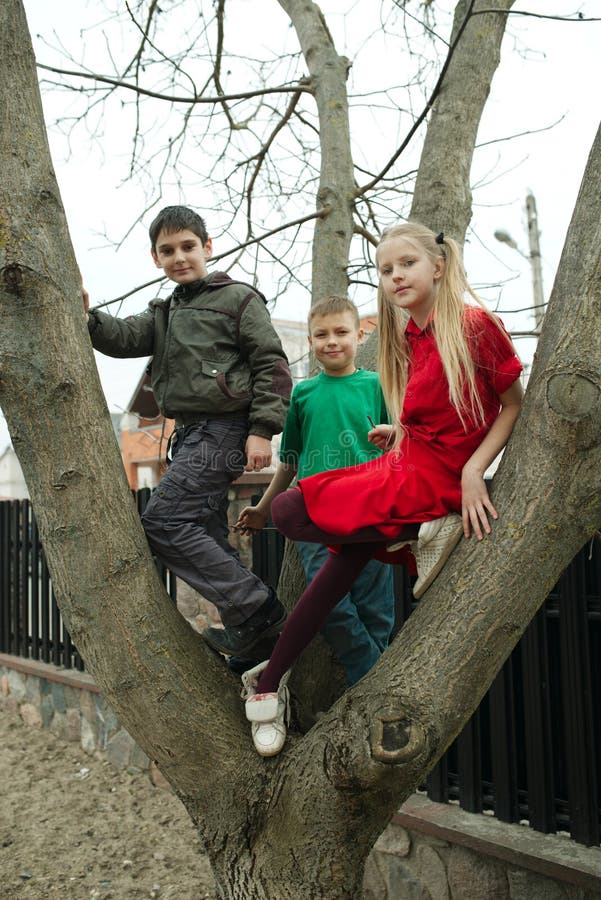 Children climb on tree stock image. Image of lifestyle - 58068097
