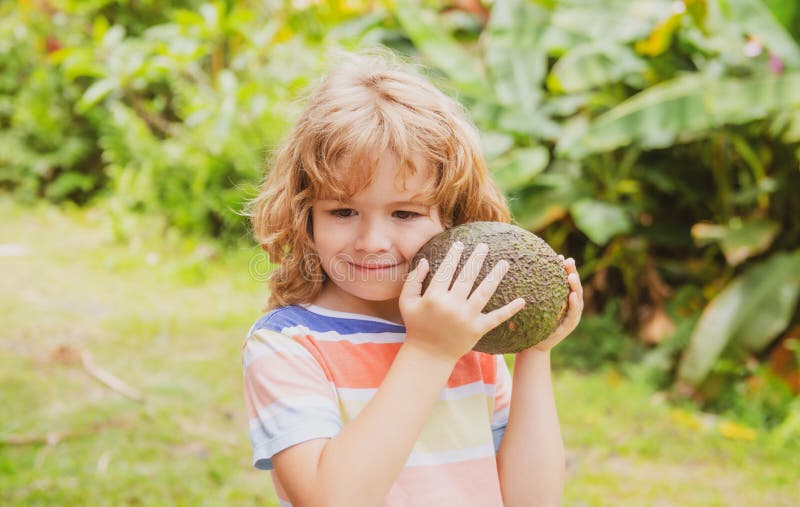 Children Cute or Kid Boy Smile and Holding Avocado Fruit. Stock Image ...