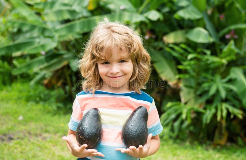 Children Cute or Kid Boy Smile and Holding Avocado Fruit. Stock Photo ...