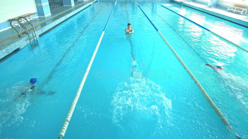 Children Dive into the Pool from a Springboard and Swim To the ...