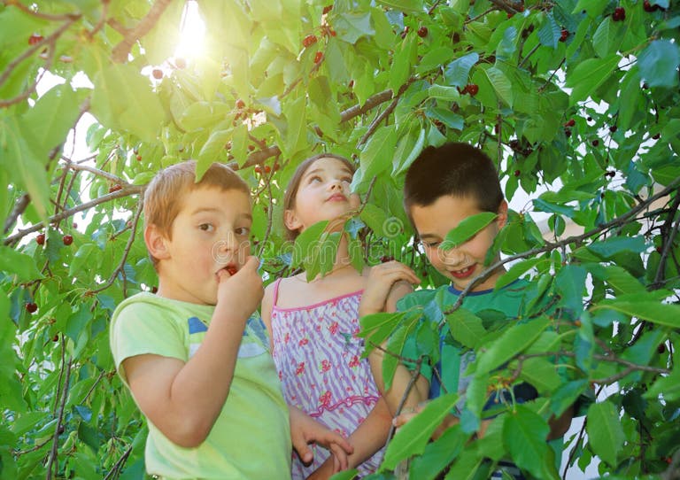 5,237 Bing Bum Stock Photos - Free & Royalty-Free Stock Photos from ...