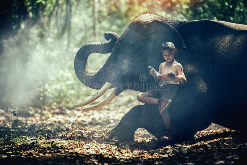 362 Elephant Hug Stock Photos - Free & Royalty-Free Stock Photos from ...