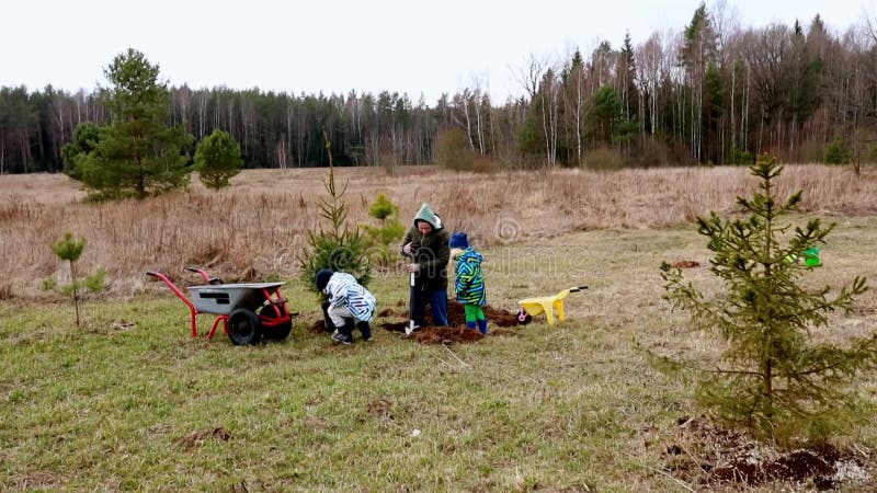 Kids Planting Trees in a Field during Springtime in Nature Stock ...