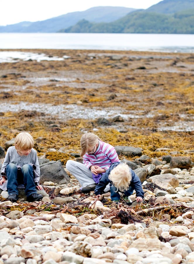 Children Exploring the Beach Stock Image - Image of love, male: 21267603