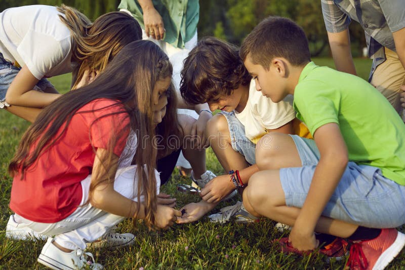 Group of Happy School Kids Learning about Environment and Looking at ...