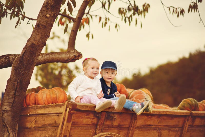 Children in fall stock photo. Image of harvest, leisure - 200374558