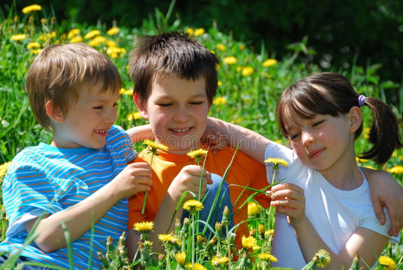 Children in flower meadow stock photo. Image of portrait - 5253846