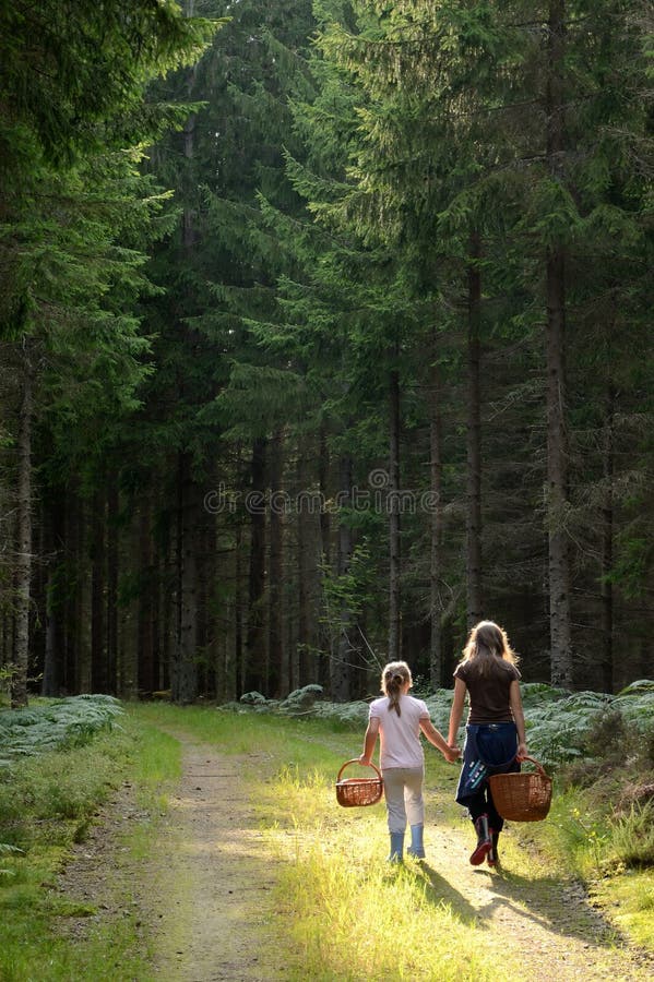 Children in forest stock image. Image of autumn, basket - 20621385
