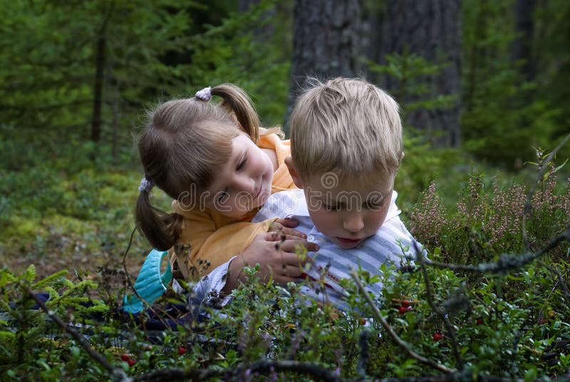 Children in the forest stock photo. Image of child, caress - 6258186