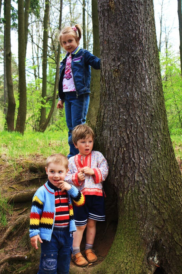 Children in the forest stock image. Image of baby, childhood - 9494803