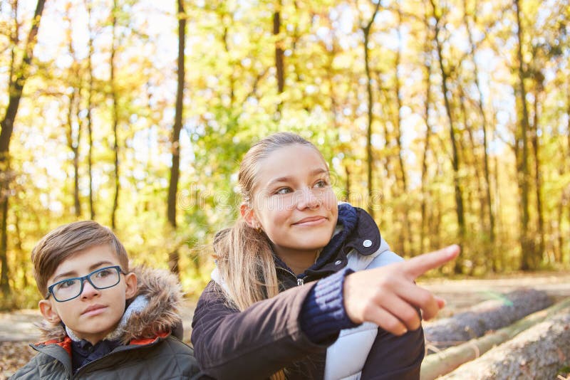 Children in the Forest on a Trip or Hike Stock Photo - Image of ...