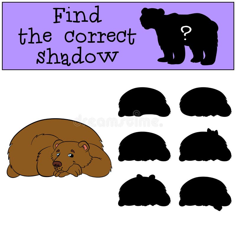 Children Games: Find the Correct Shadow. Cute Brown Bear. Stock Vector ...