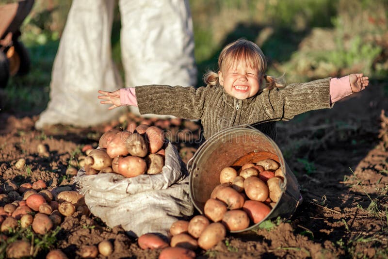 Children in garden. stock photo. Image of smile, potatoes - 76978044