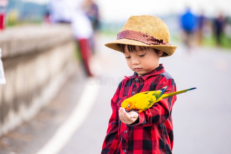 A Children Give a Food for a Bird in the Parks Stock Photo - Image of ...
