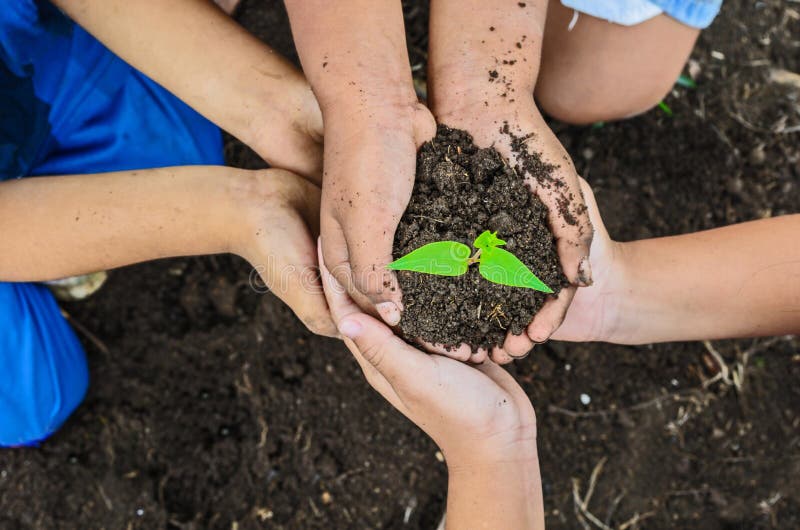 Happy Children Forming Huddle at Park Stock Image - Image of friend ...