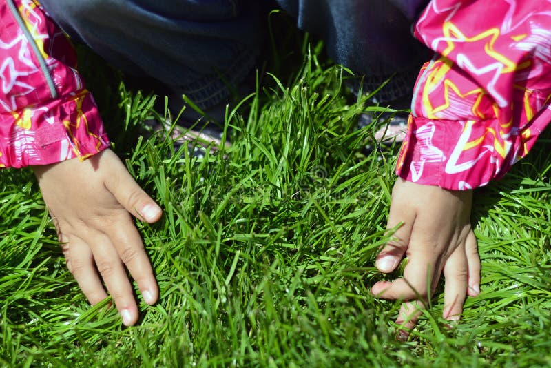 Children Hand on Young Grass. Stock Image - Image of safe, young: 92346537