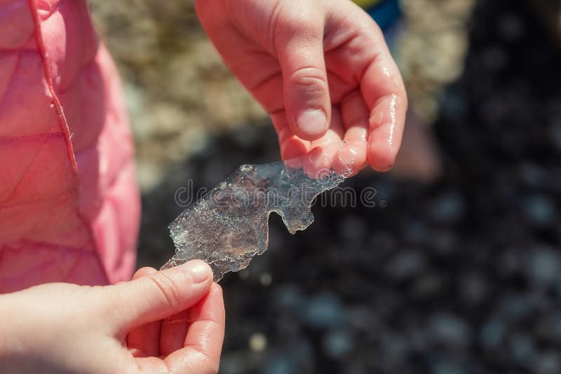 Children Hands Holding a Piece of Transparent Ice Stock Photo - Image ...