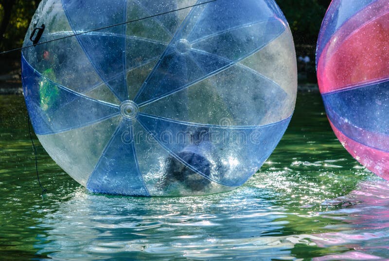 Children Have Fun Inside Plastic Balloons on the Water. Stock Image ...