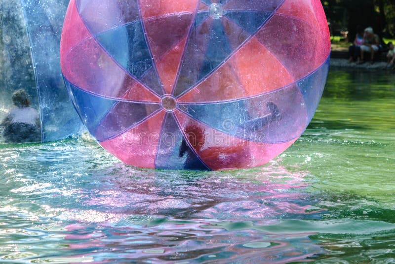Children Have Fun Inside Plastic Balloons on the Water. Stock Photo ...