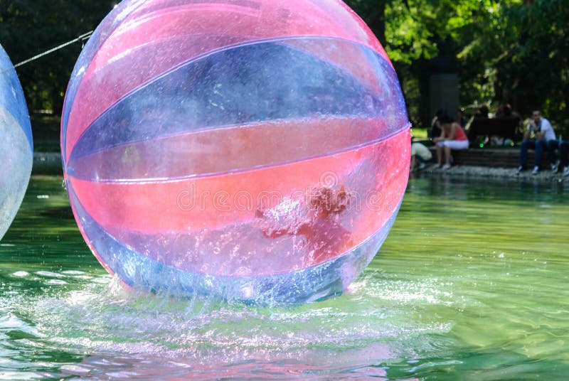 Children Have Fun Inside Plastic Balloons on the Water. Stock Image ...
