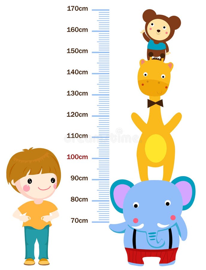The Child`s Height Illustrations Stock Vector - Illustration of cute ...