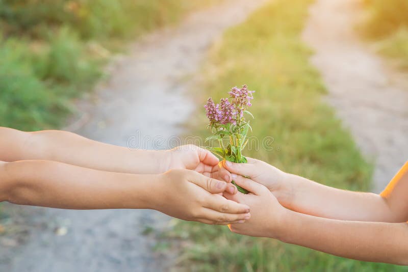 Children Hold Hands Together with Flowers. Selective Focus Stock Photo ...